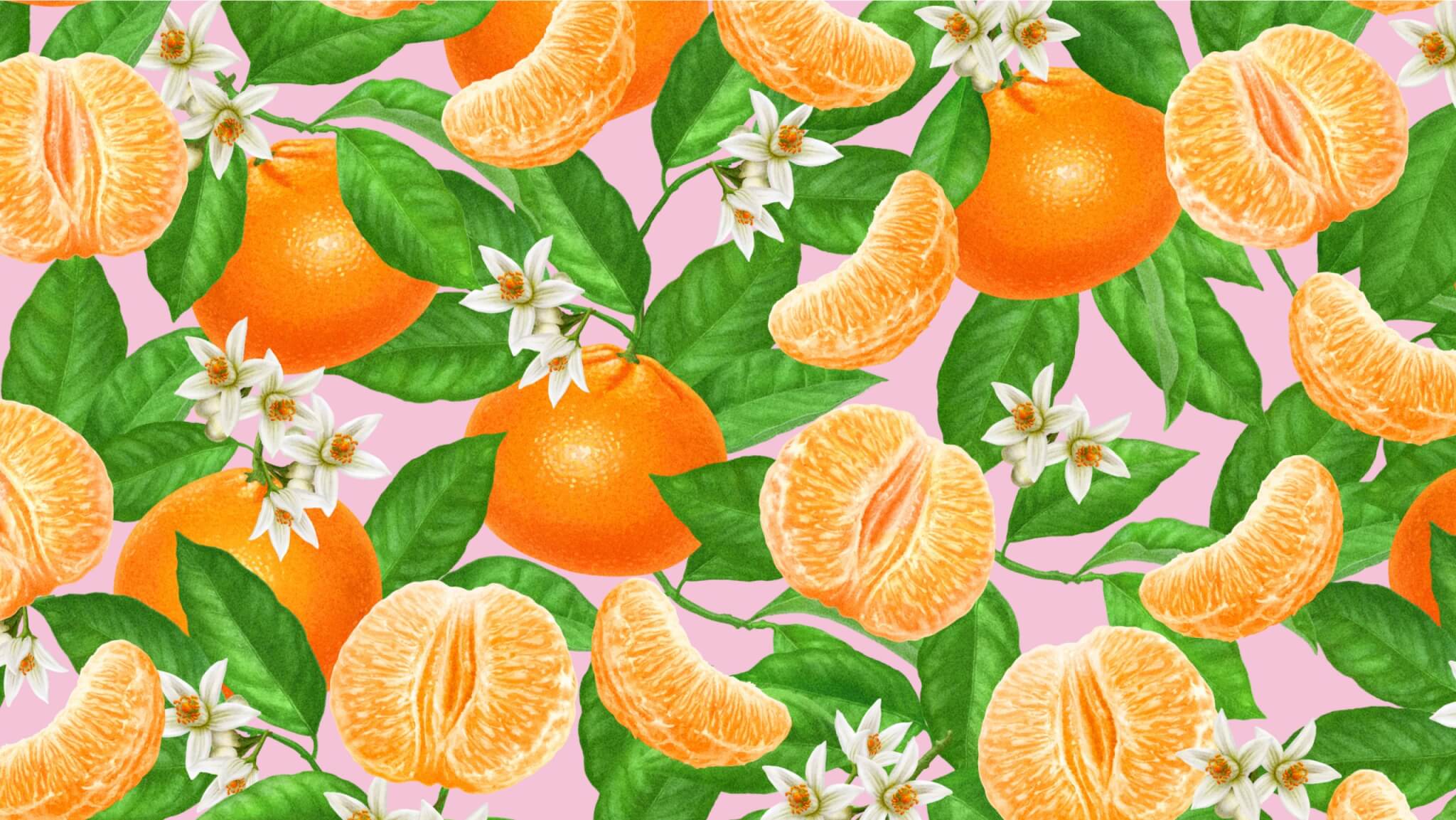 Our Journey - Grove Juice